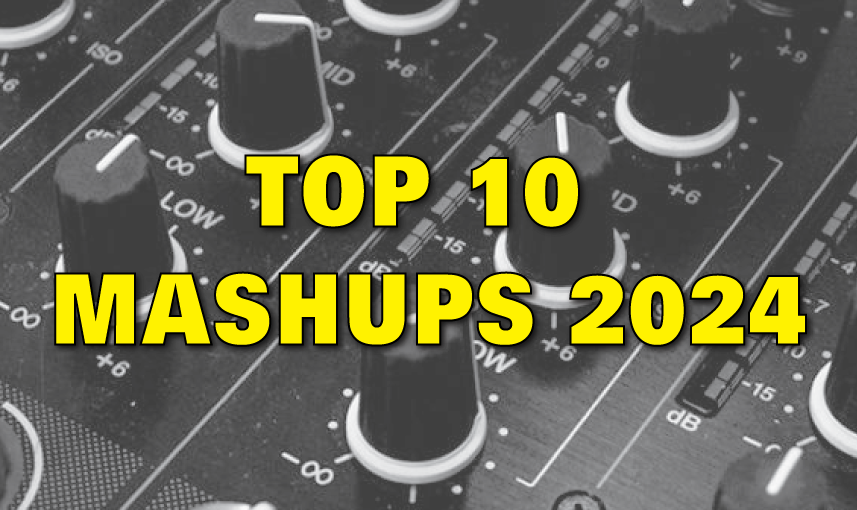 Top 10 Mashups 2024 | Doing The Damage